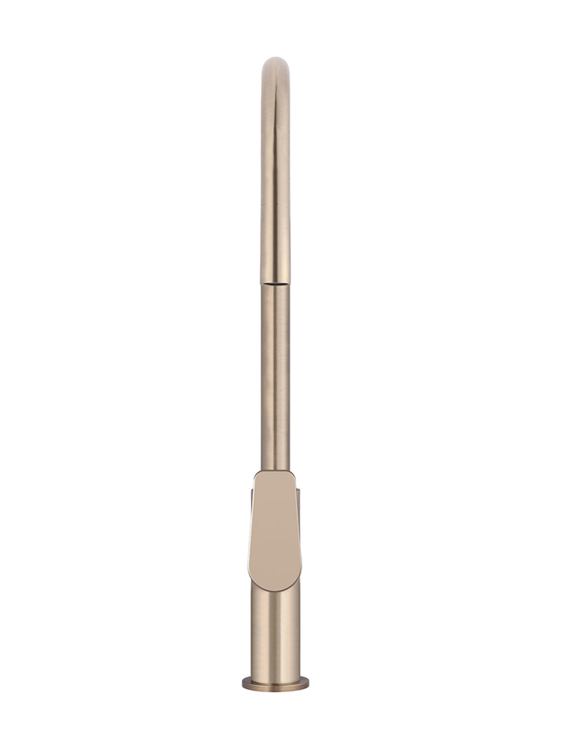 Round Paddle Champagne Pull Out Kitchen Mixer Tap | Champagne Kitchen ...